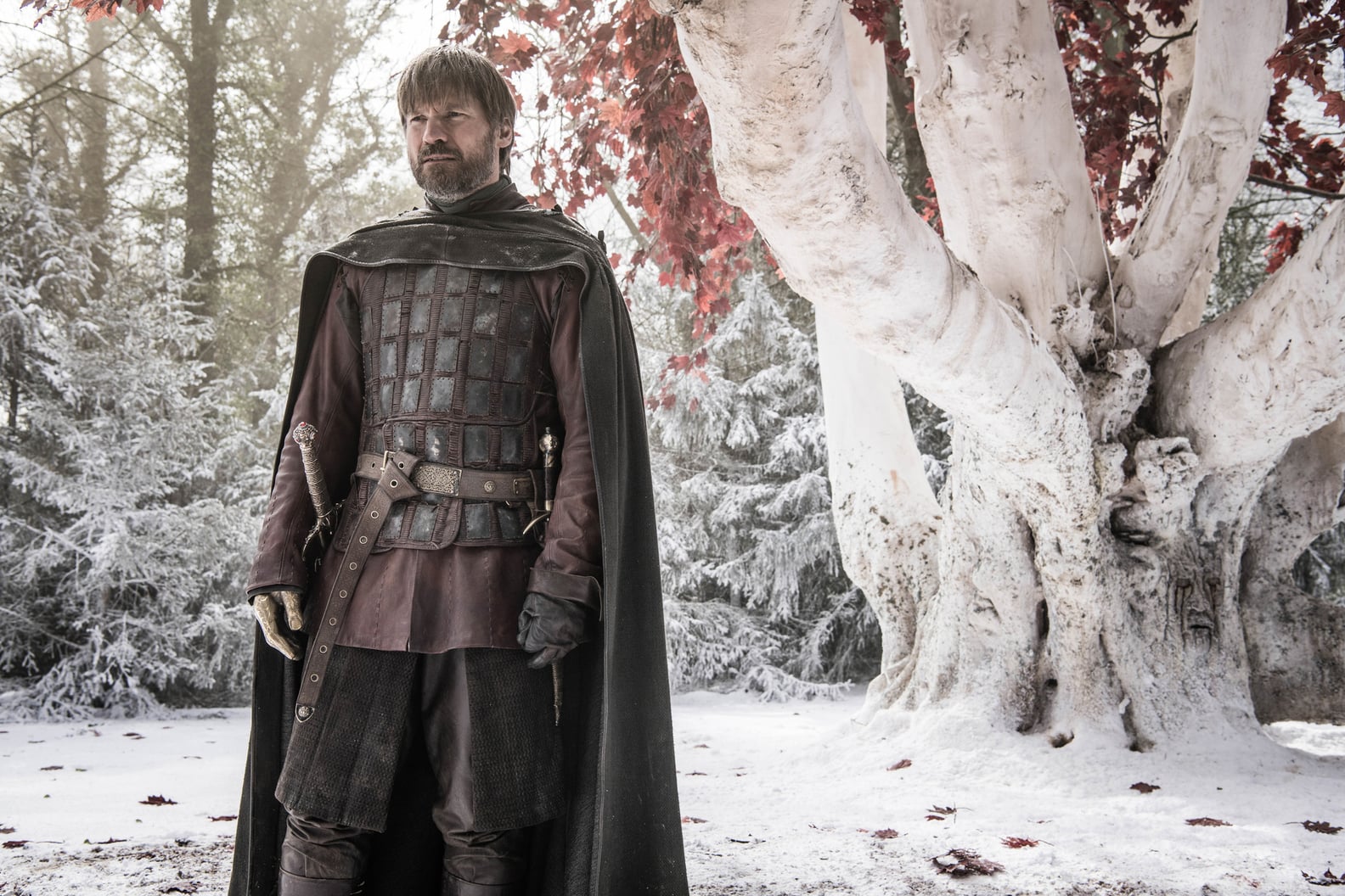 Lannister Family Tree | POPSUGAR Entertainment