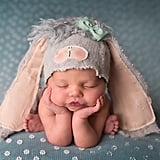 Should I Get Professional Newborn Photos? | POPSUGAR Family