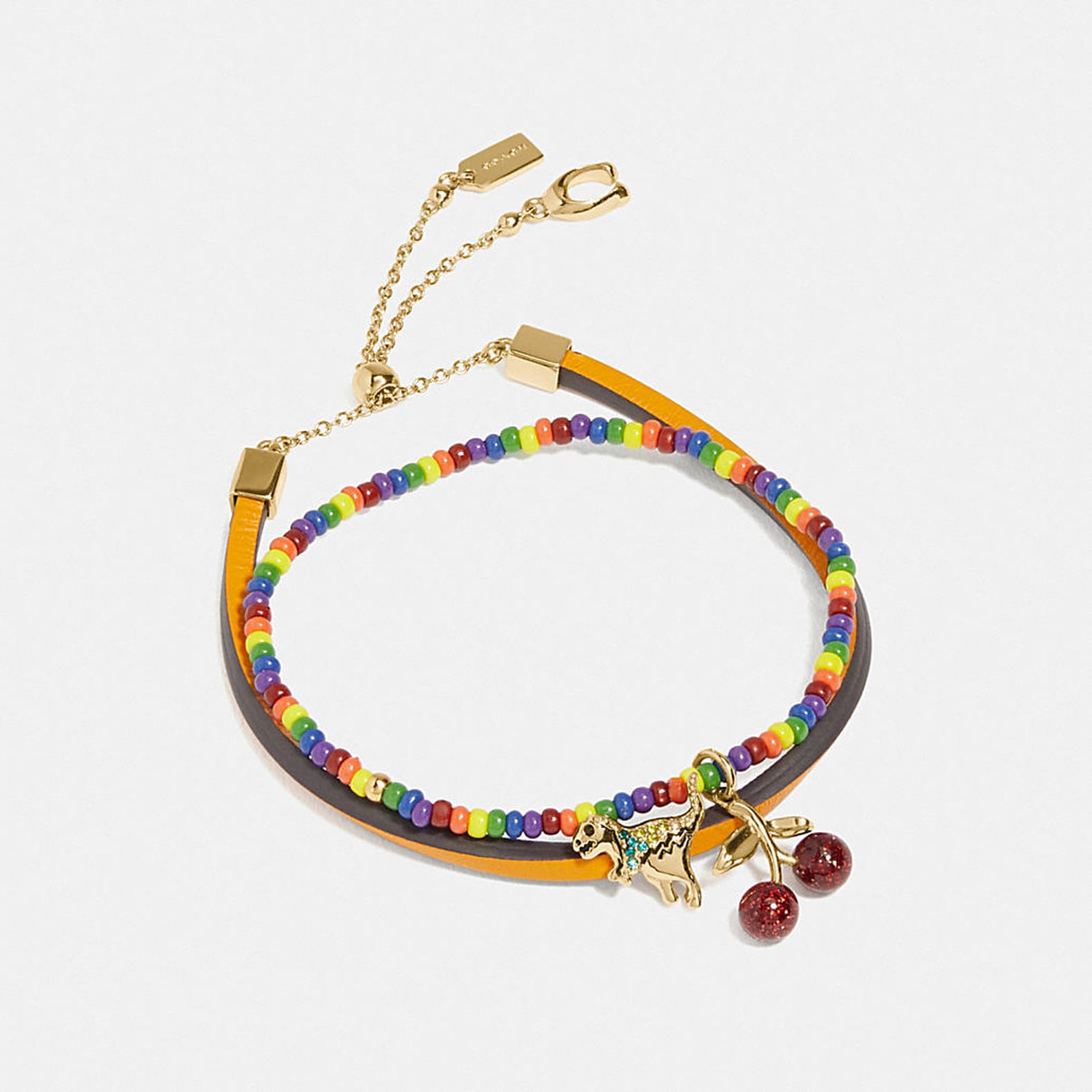 Coach's We C You LGBTQ+ Pride Collection and Campaign | PS Fashion
