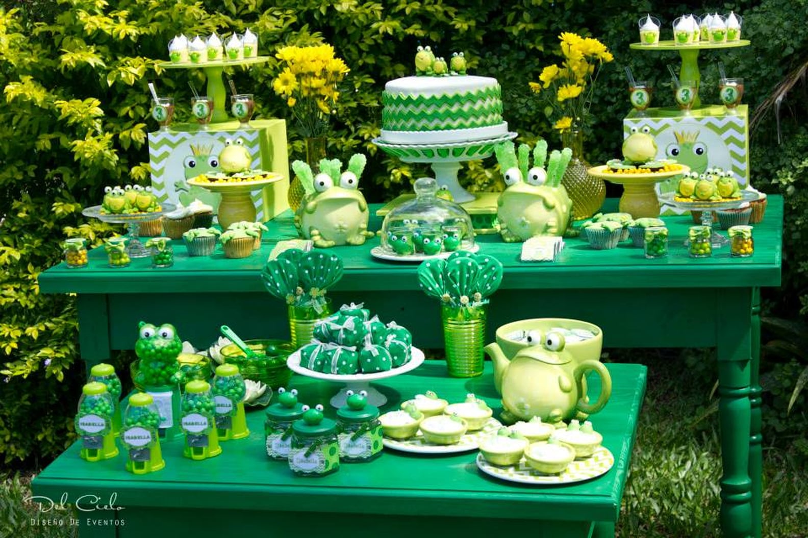 Frog Leap Day Birthday Party | PS Family