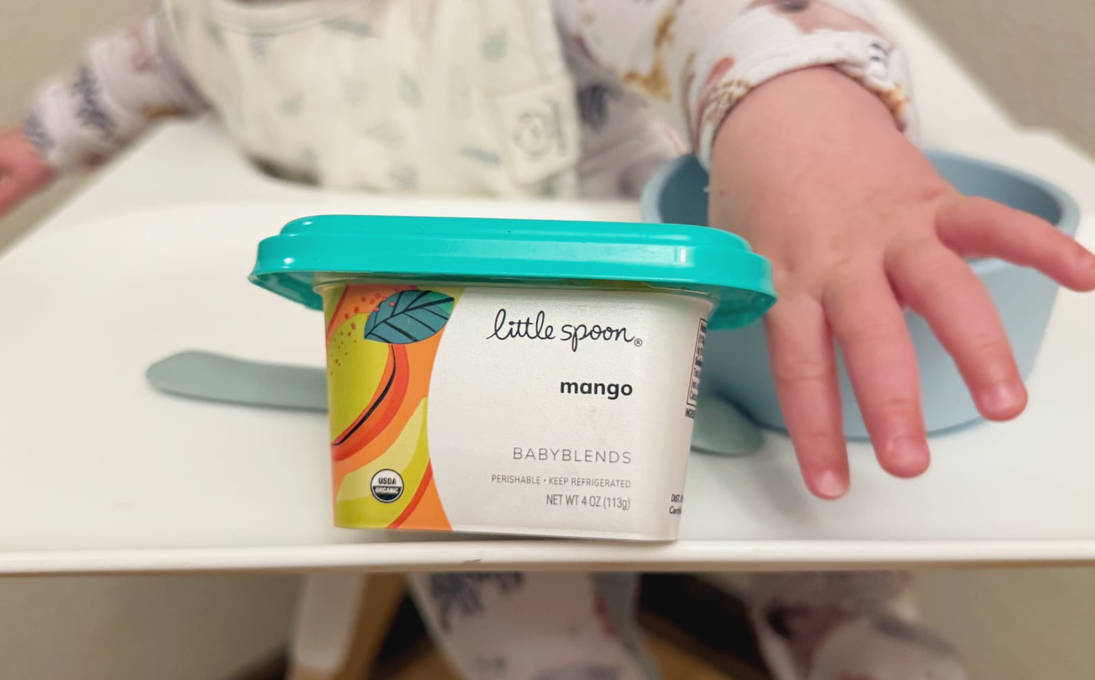 Little Spoon Review With Photos | PS Parenting