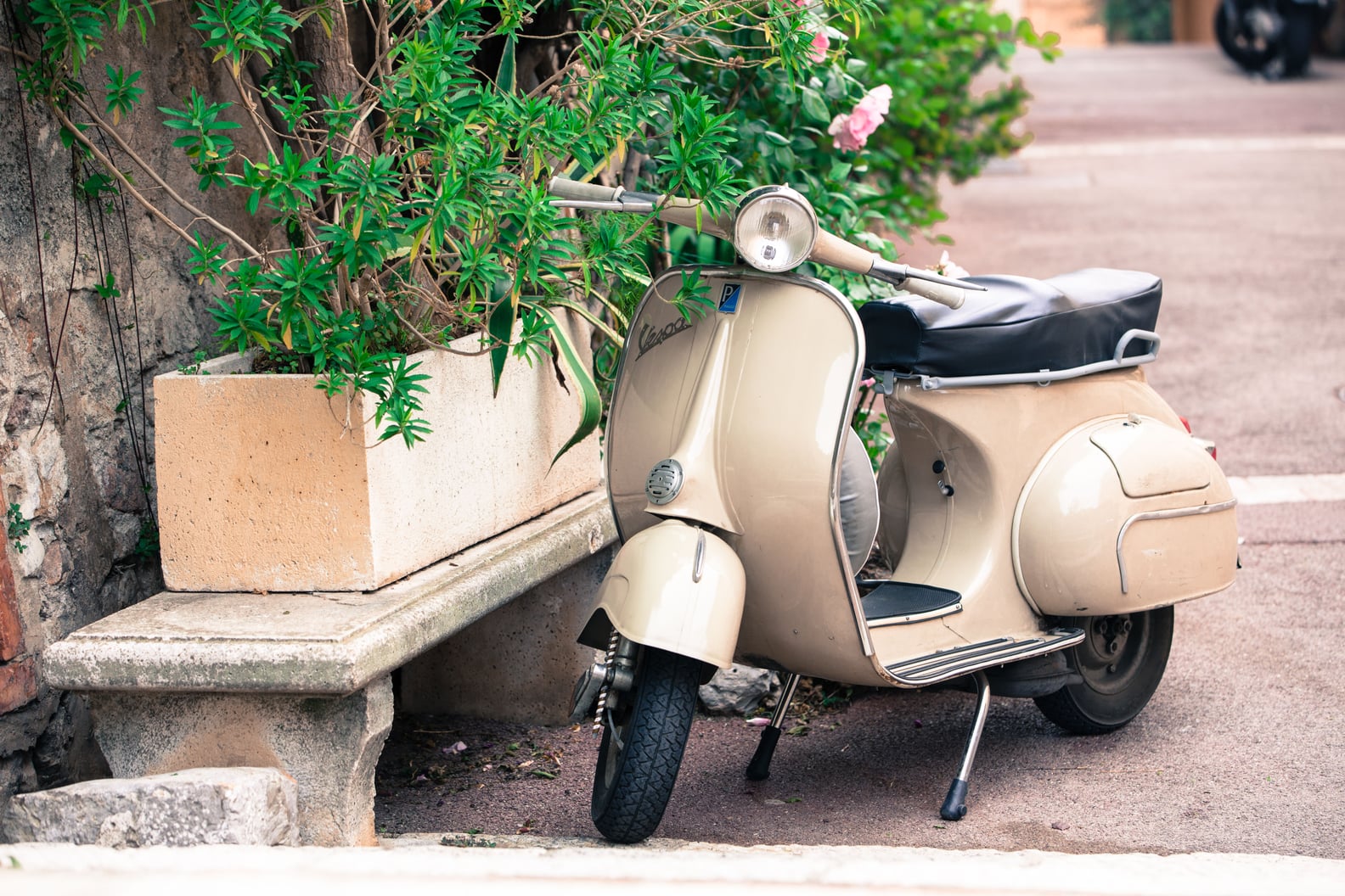 Date Ideas For Spring | PS Love