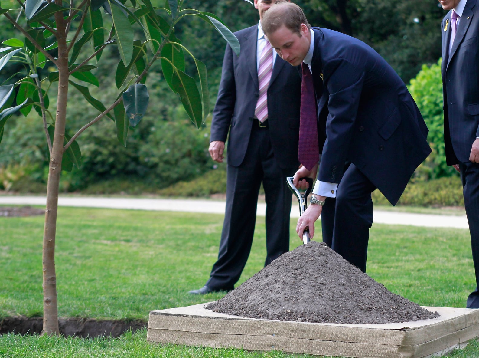 Kate Middleton Planting Trees | Pictures | PS Celebrity