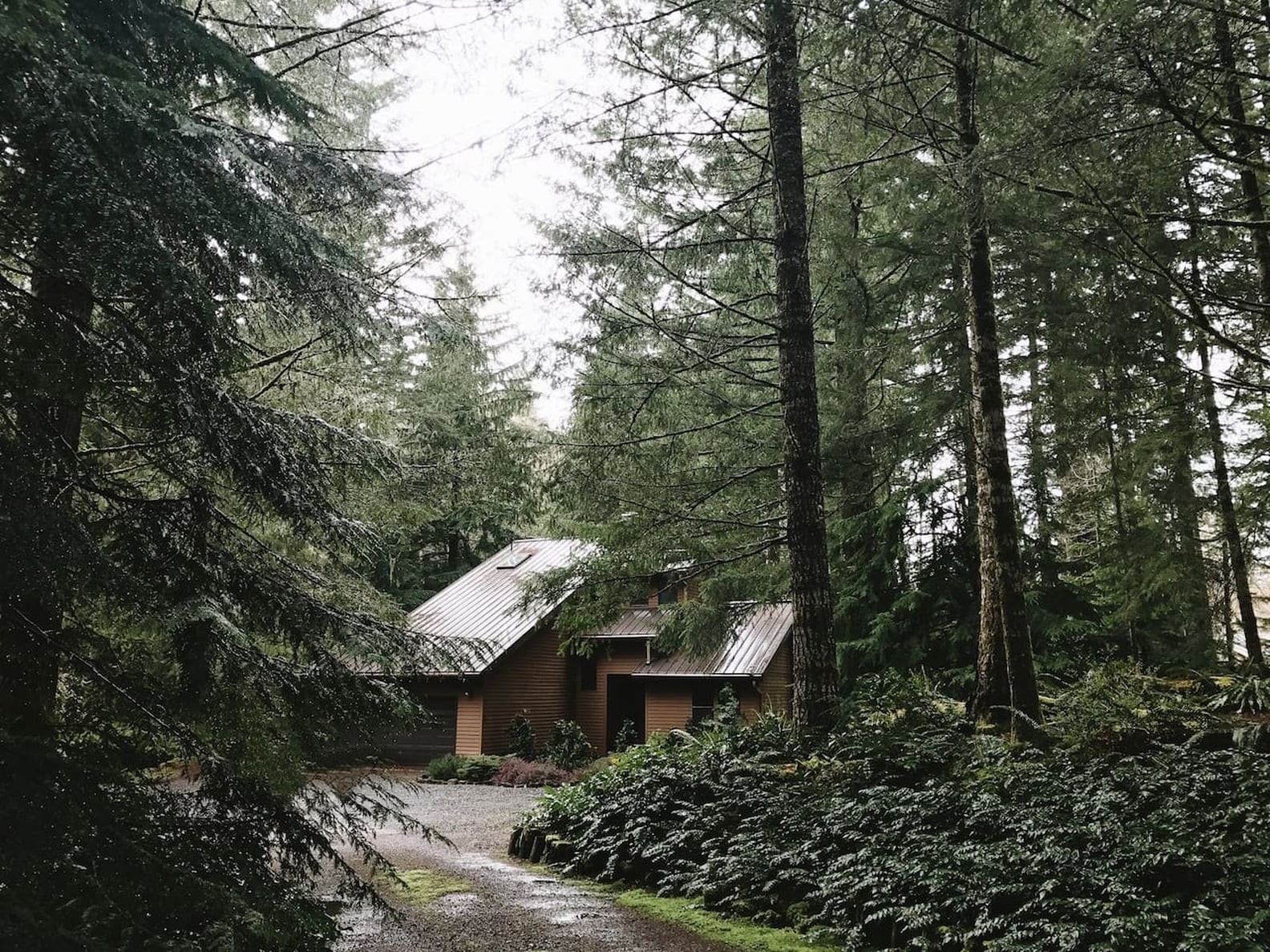 35 Charming Remote Cabin Rentals Across the US | PS Smart Living