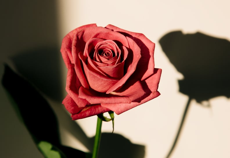 Shadow Daddy Meaning: Breaking Down the Romantasy Archetype | PS Books