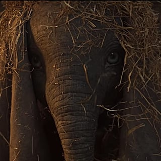 American Horror Story: Apocalypse Season Finale Recap | POPSUGAR ...