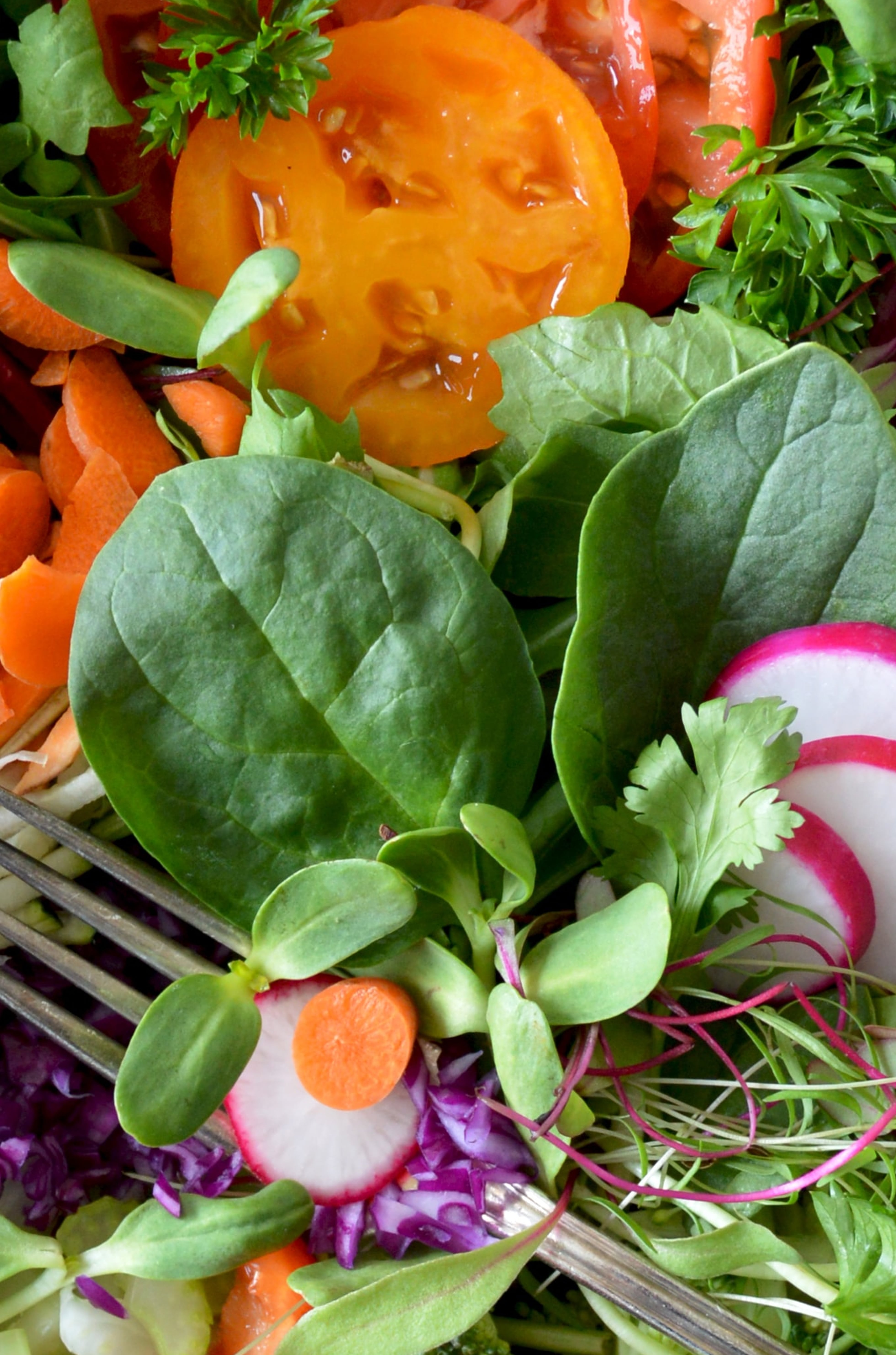 What Is the Low-Oxalate Diet? | POPSUGAR Fitness