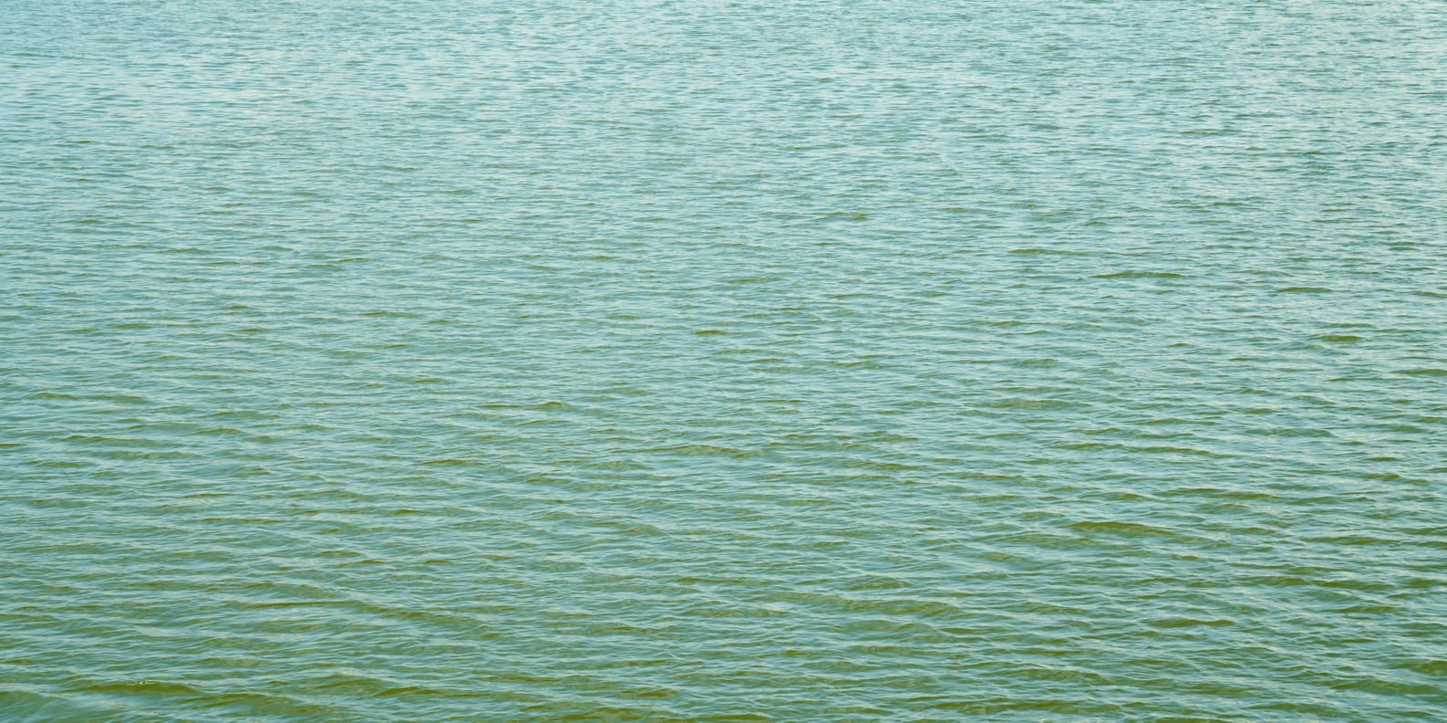 How to Take the Ktestone Color Personality Test | PS Balance