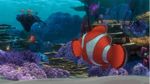 When Nemo Rushes Back to His Dad at the End | Finding Nemo GIFs ...