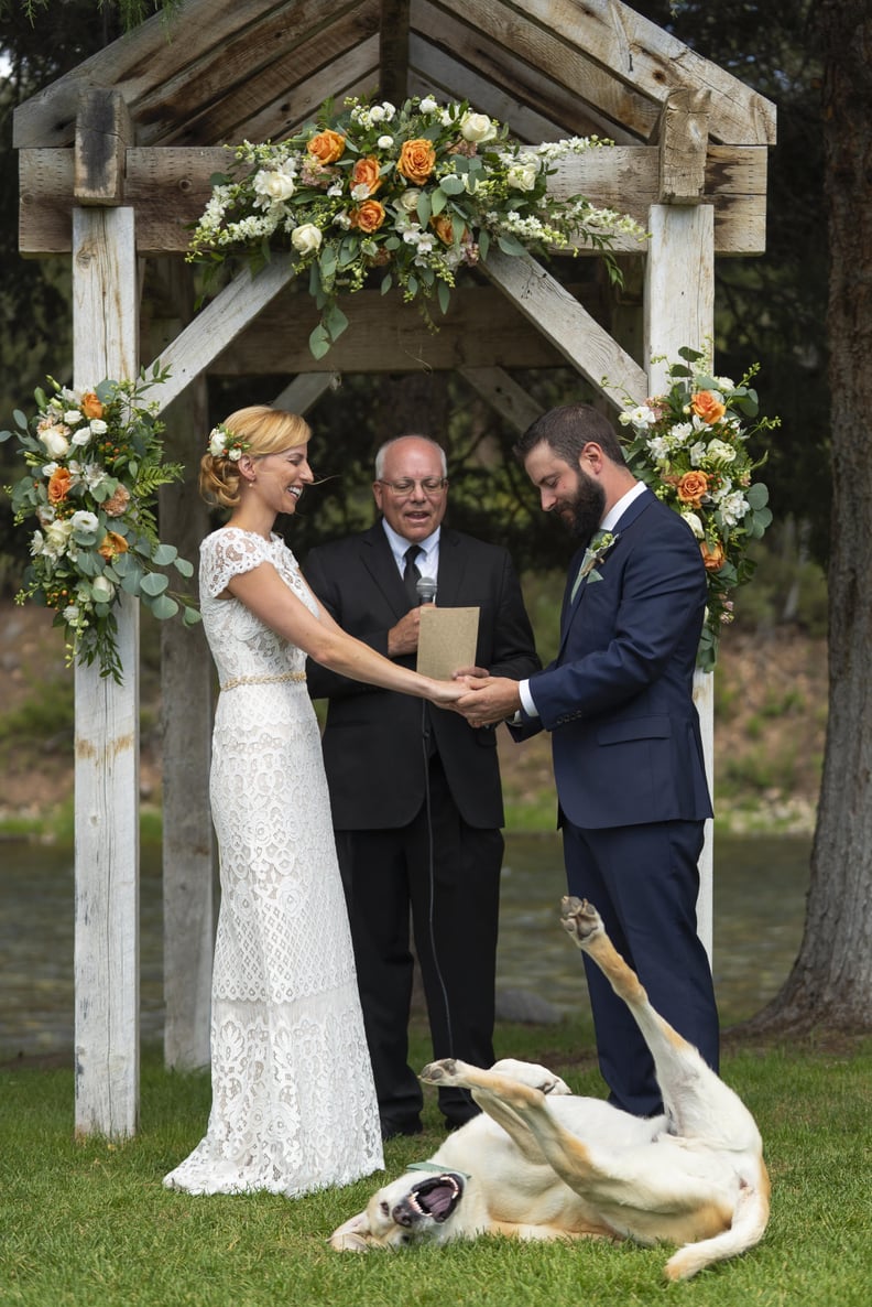 Dogs Photobombing Weddings | PS Family