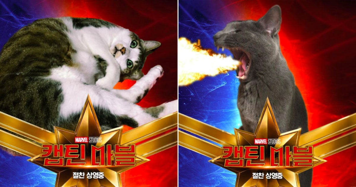 Captain Marvel Cat Photoshop Tweets | POPSUGAR Entertainment