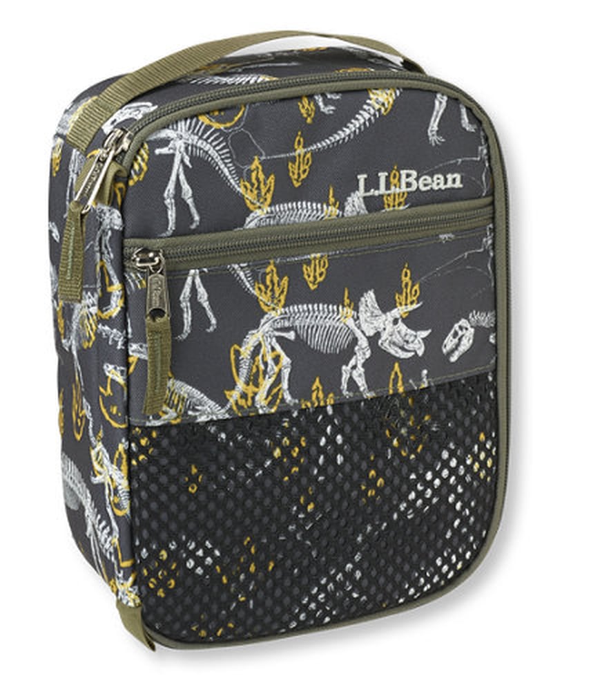 Dinosaur Backpacks and Lunchboxes For Kids Back to School | PS Family