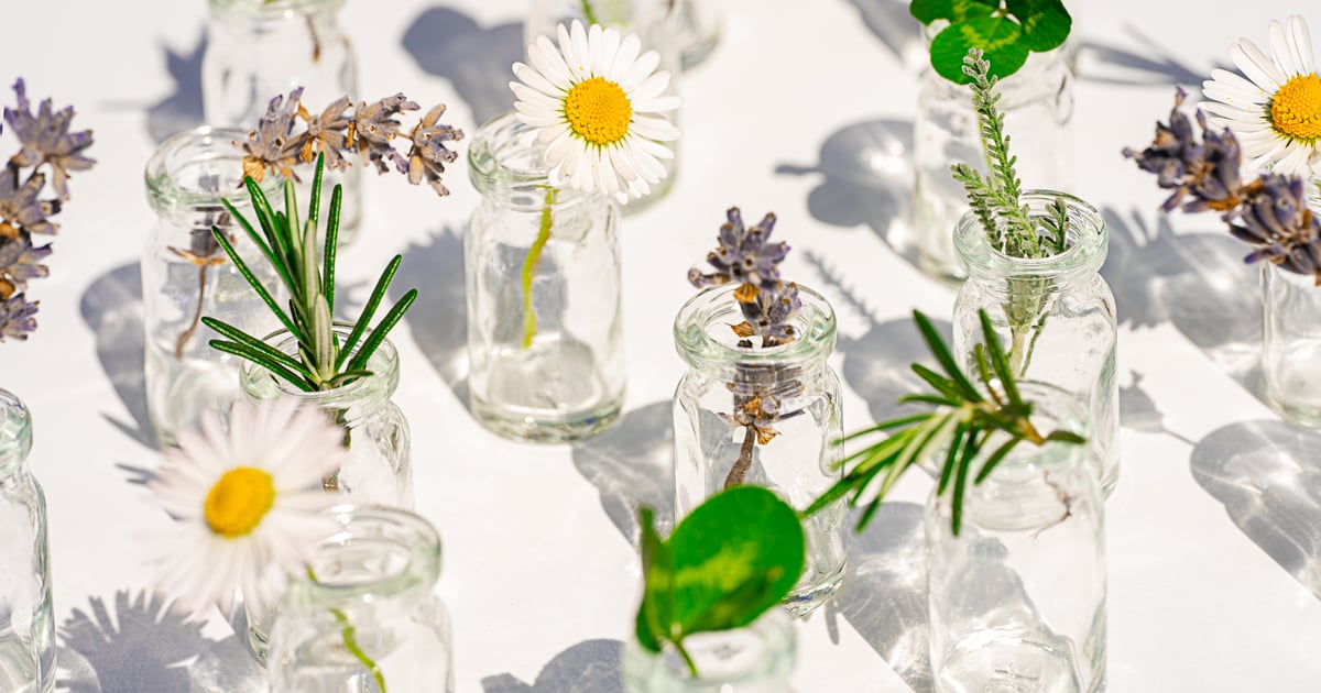 What Is Biotech Beauty? | POPSUGAR Beauty