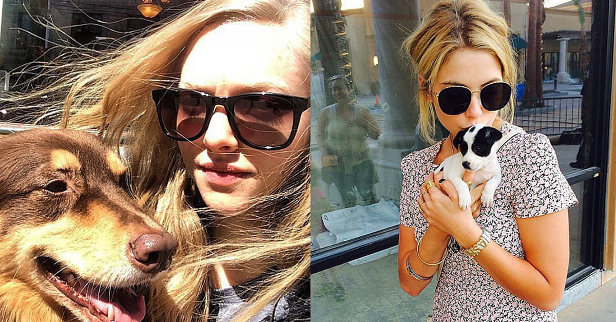 Celebrities and Pets I April 2014 | POPSUGAR Pets