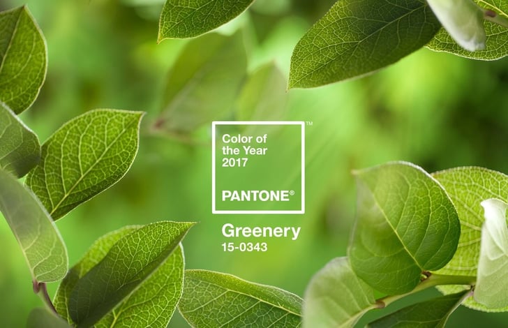 Pantone's Color of 2017 For in the Home | POPSUGAR Home