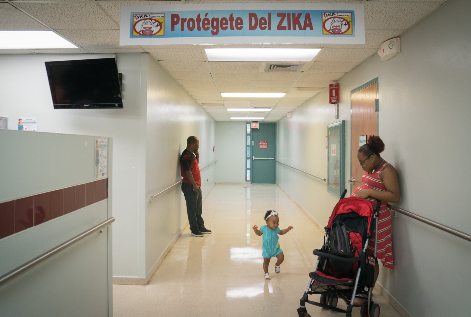 Where Is Zika? | POPSUGAR News