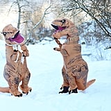 T-Rex Engagement Photo Shoot | POPSUGAR Love & Sex