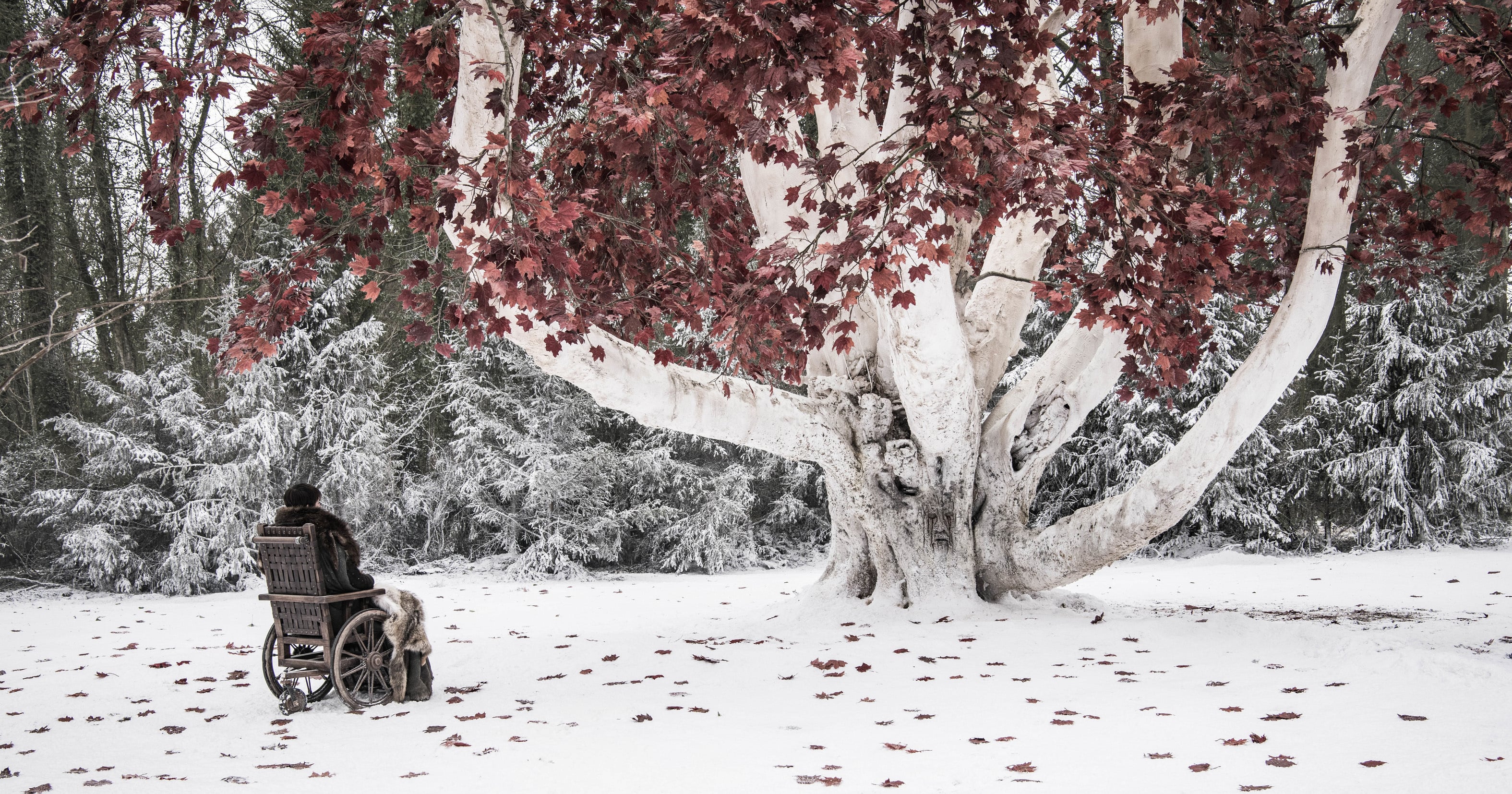Why Were They Guarding the Weirwood Tree on Game of Thrones? | PS ...