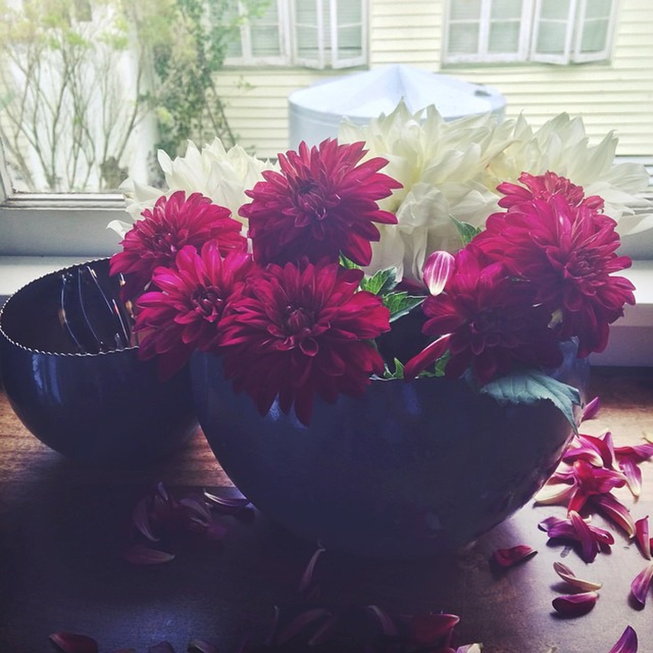 Flower Inspiration | PS Home