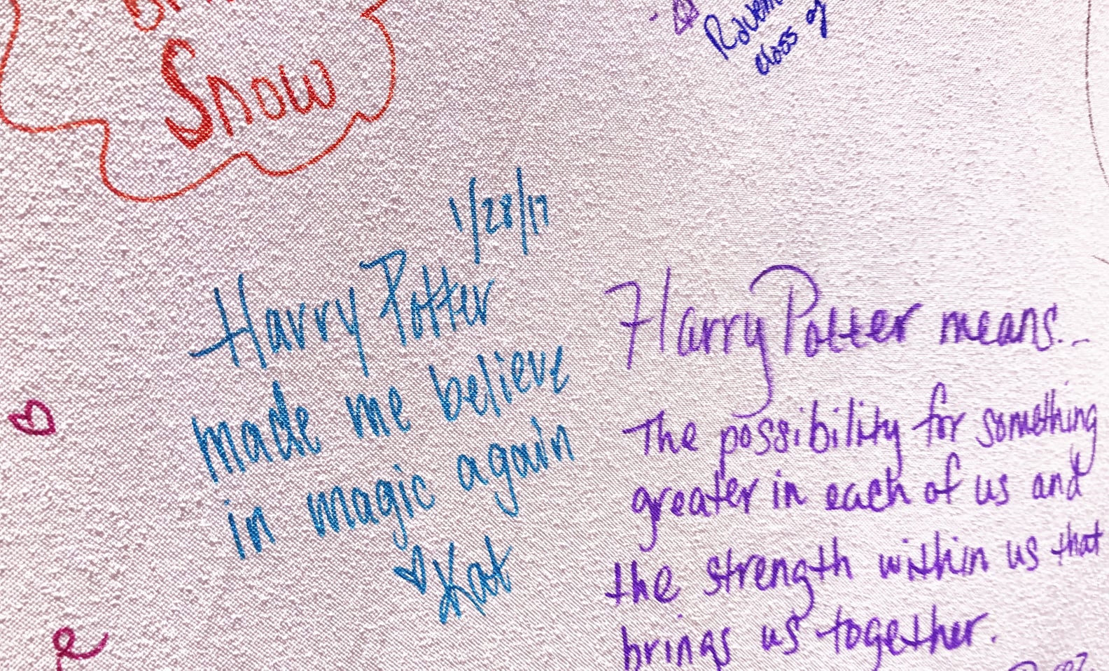 What Harry Potter Means to Fans | PS Love