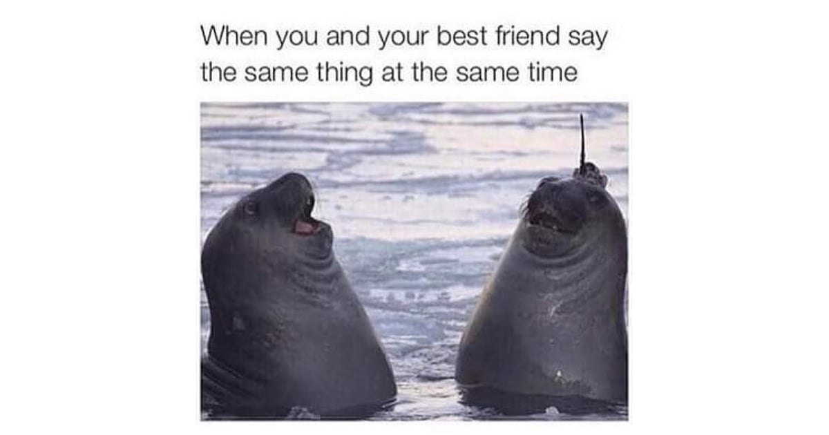 Reading each other's minds all the time. | Best Friend Memes | POPSUGAR ...
