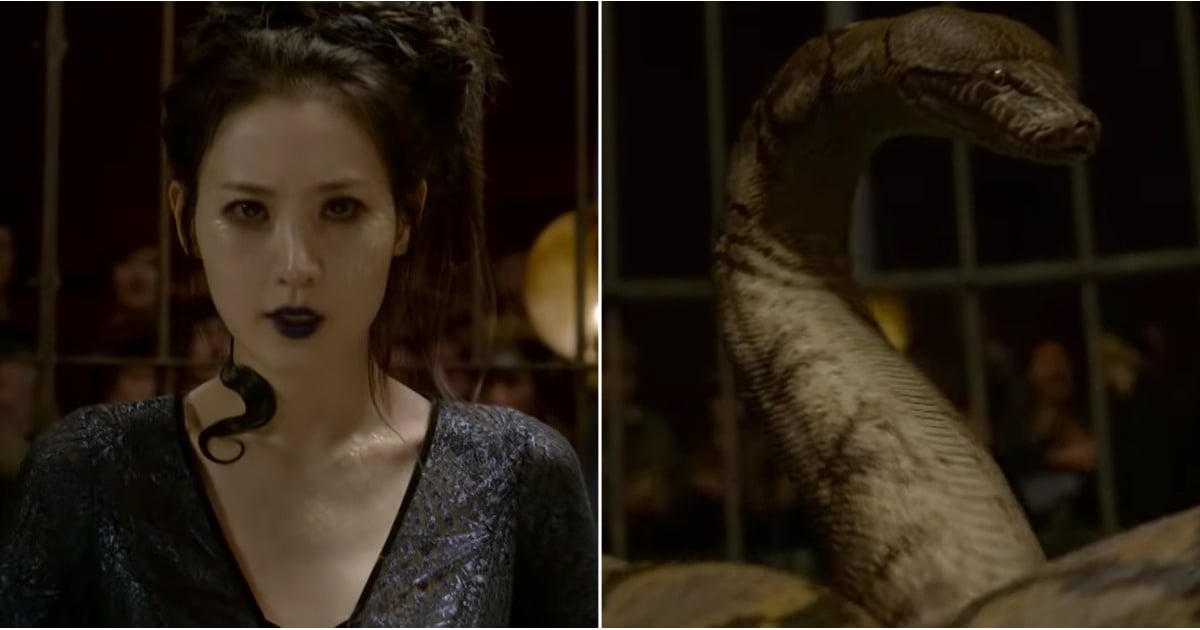 What Is the Difference Between Animagus and Maledictus? | POPSUGAR ...