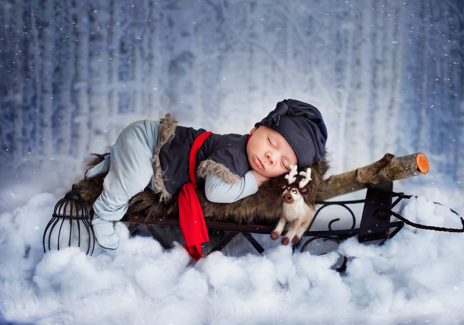 Frozen Newborn Photo Shoot | PS Family