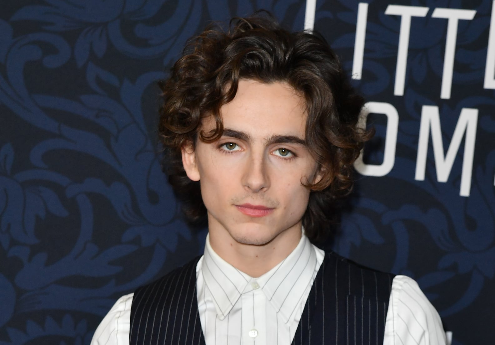 An Ode to Timothée Chalamet's Insanely Chiseled Jawline | POPSUGAR ...