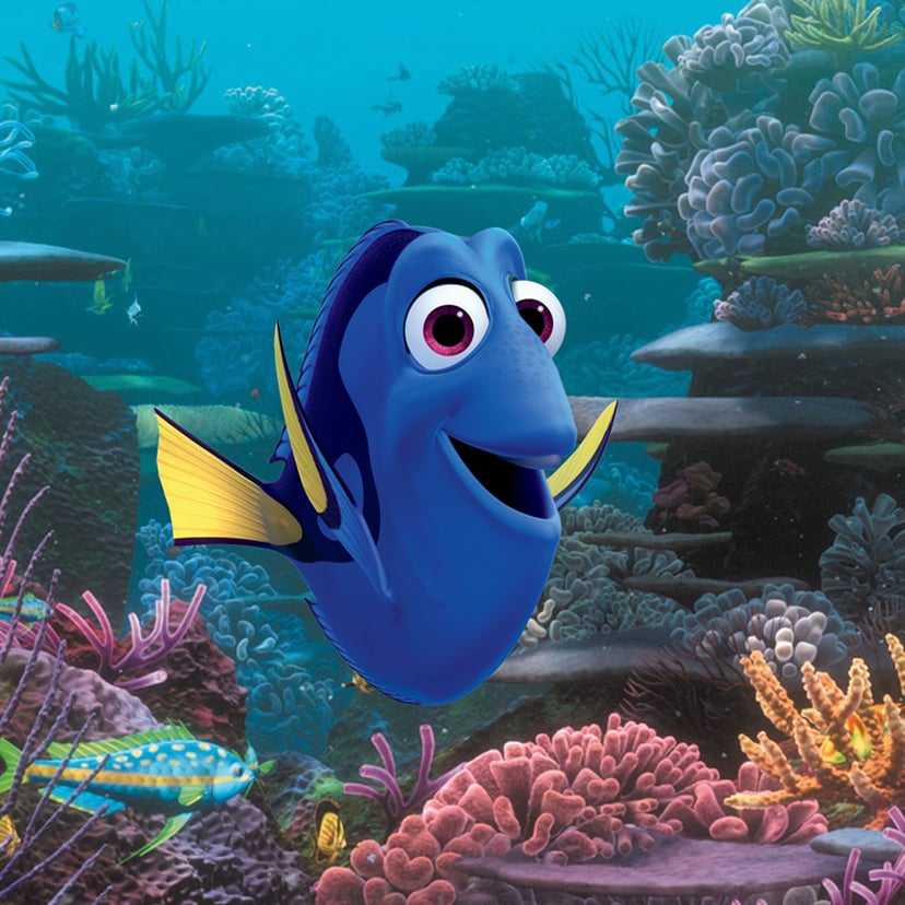 Finding Dory Meme