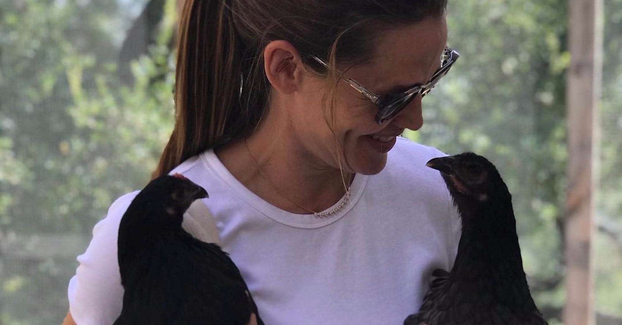 Jennifer Garner With Her Pet Chicken Pictures | PS Celebrity