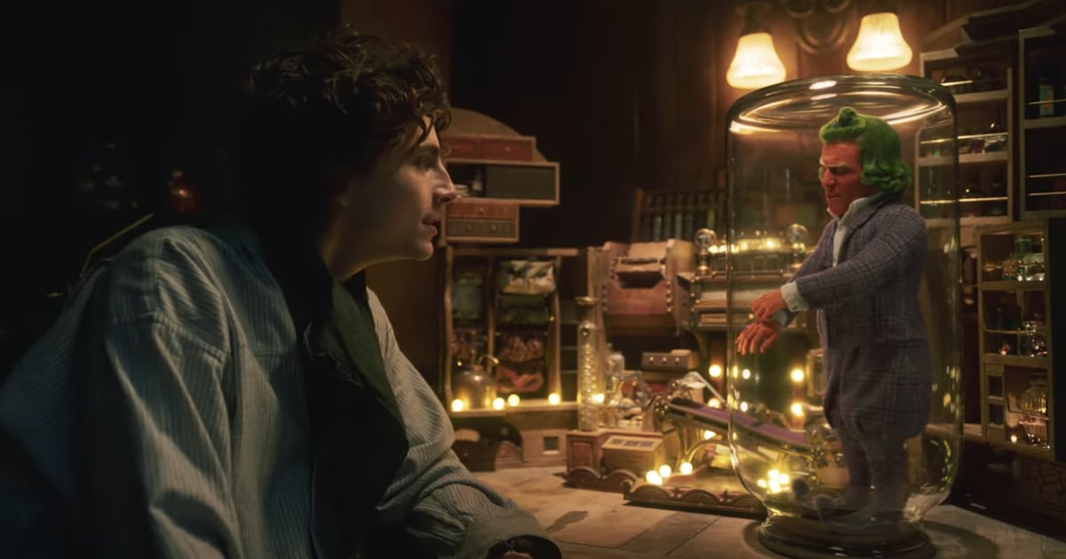 Timothée Chalamet's Wonka: Cast, Release Date, Trailer - WebTimes