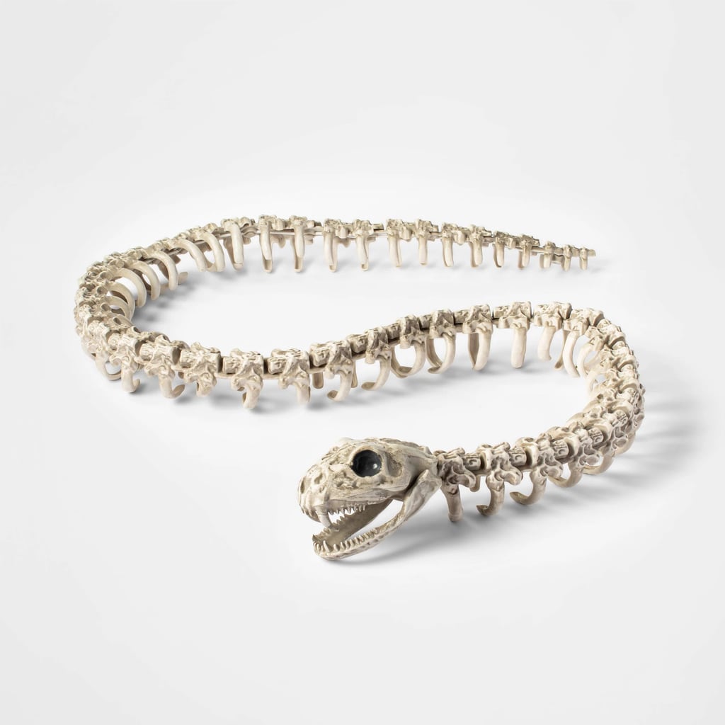 Large Snake Skeleton | Cheap Target Halloween Decorations For 2020 ...