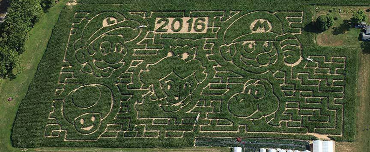 New York Super Mario Brothers Corn Maze | PS Tech