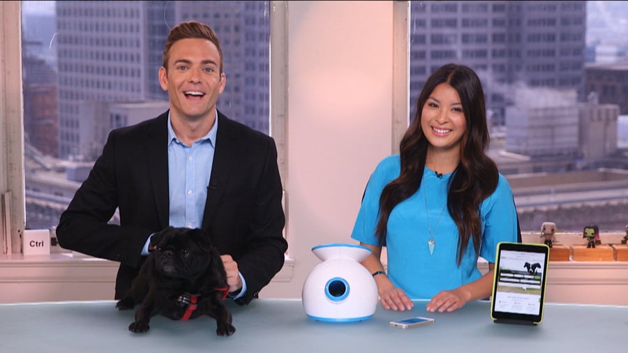 Pet Trackers | POPSUGAR Tech