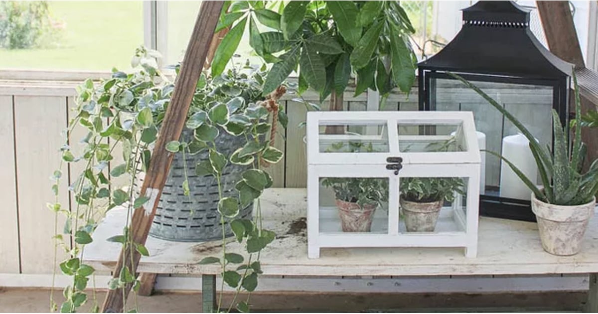 Places in the Home Mosquitoes Breed | POPSUGAR Home