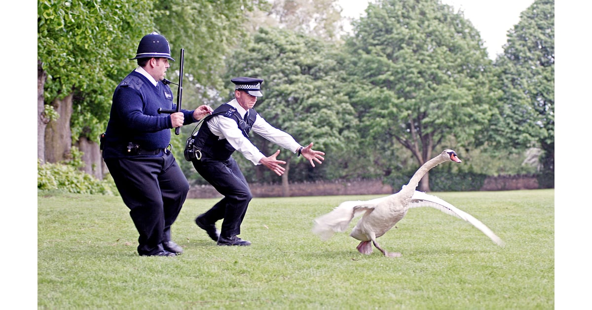 Hot Fuzz (2007) | Best 2000s Movies on Netflix in 2019 | POPSUGAR ...