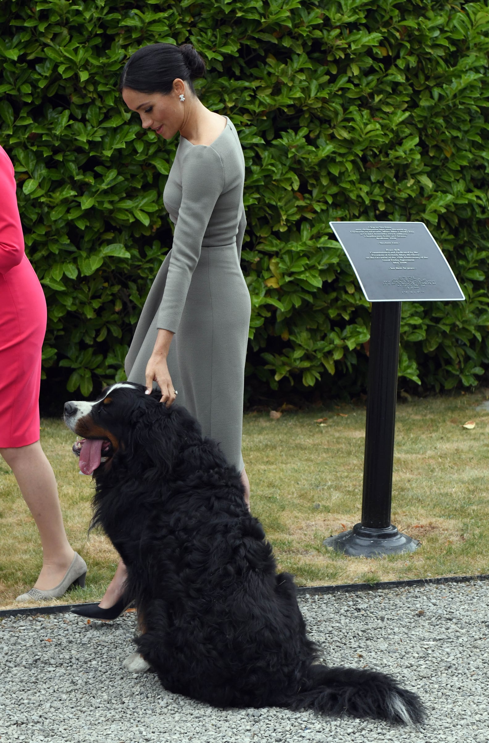 Meghan Markle and Prince Harry Get a Dog August 2018 | PS Celebrity