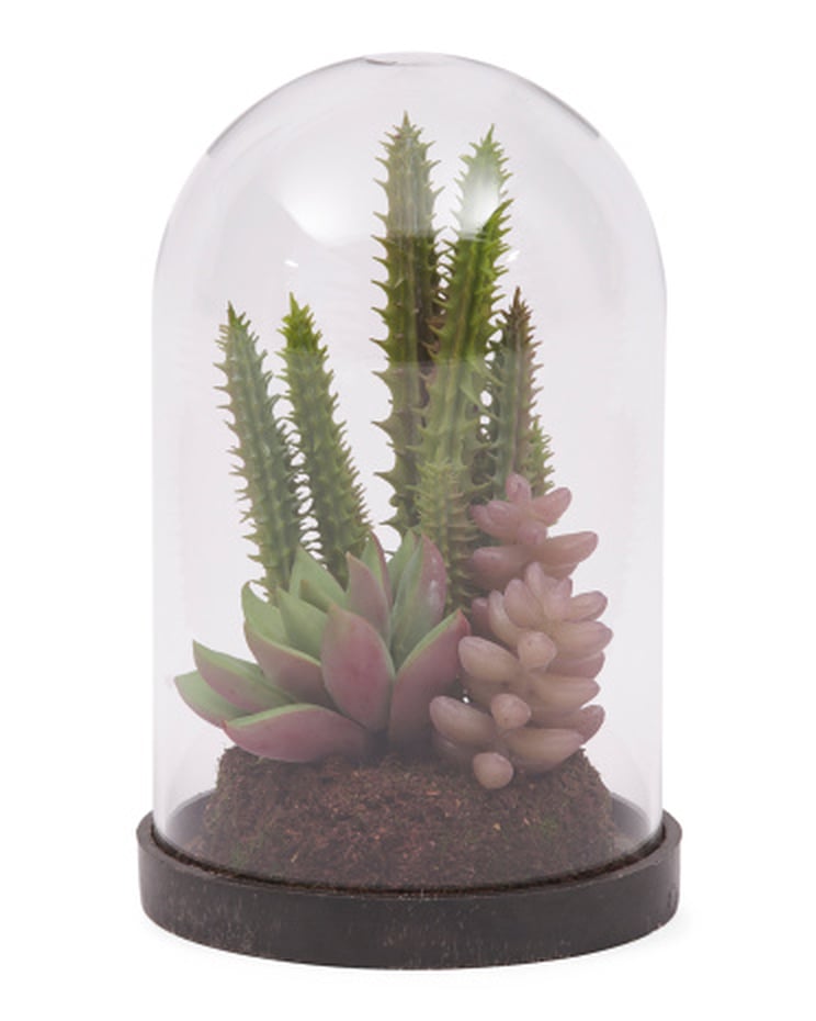 TJ Maxx Home Decor | PS Home