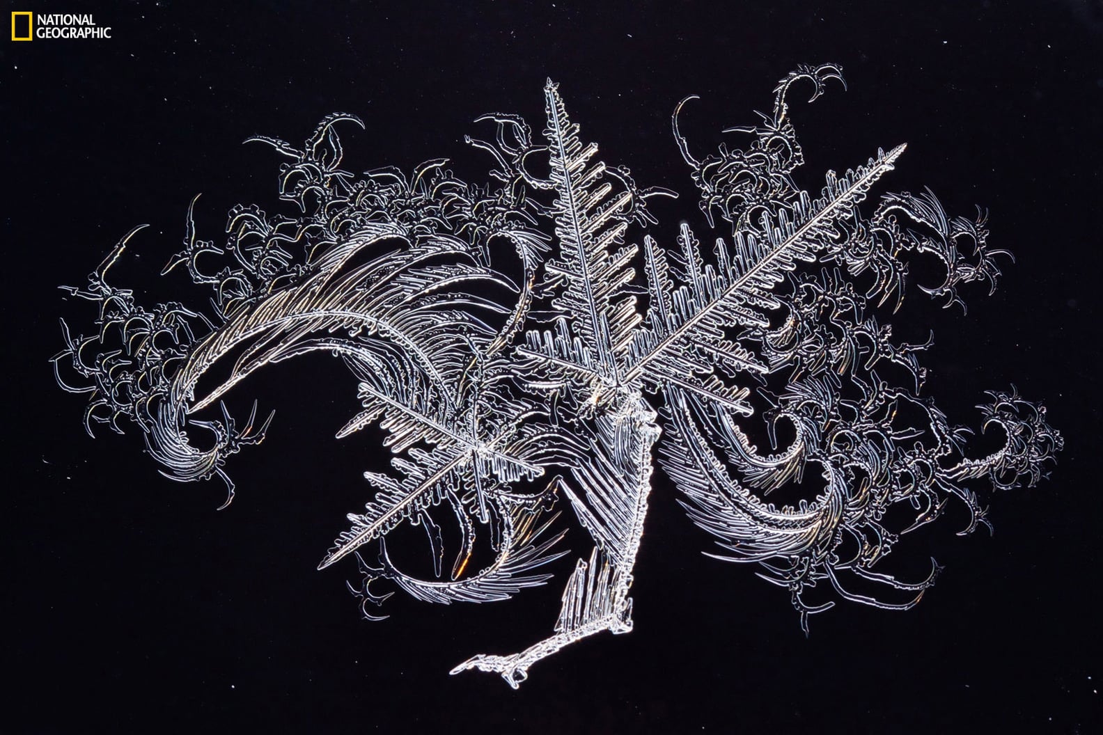 NatGeo Photo Contest Winners 2014 | PS Tech