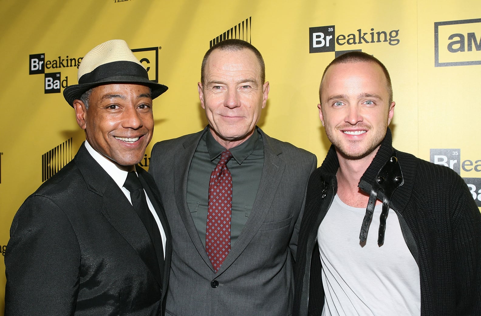 Breaking Bad Cast on the Red Carpet Over the Years Photos | PS Celebrity