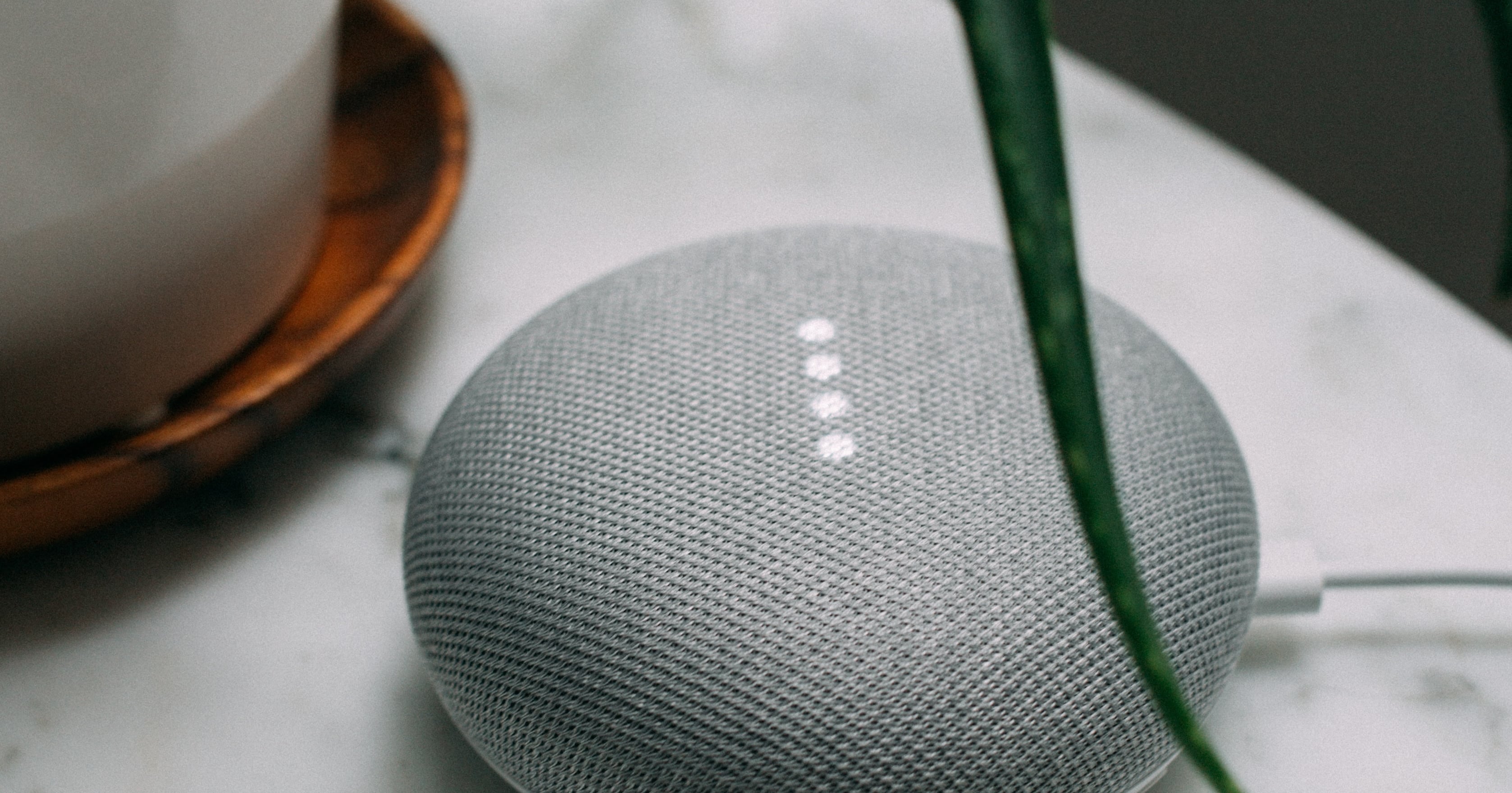 What Kids Can Ask Google Home | PS Family