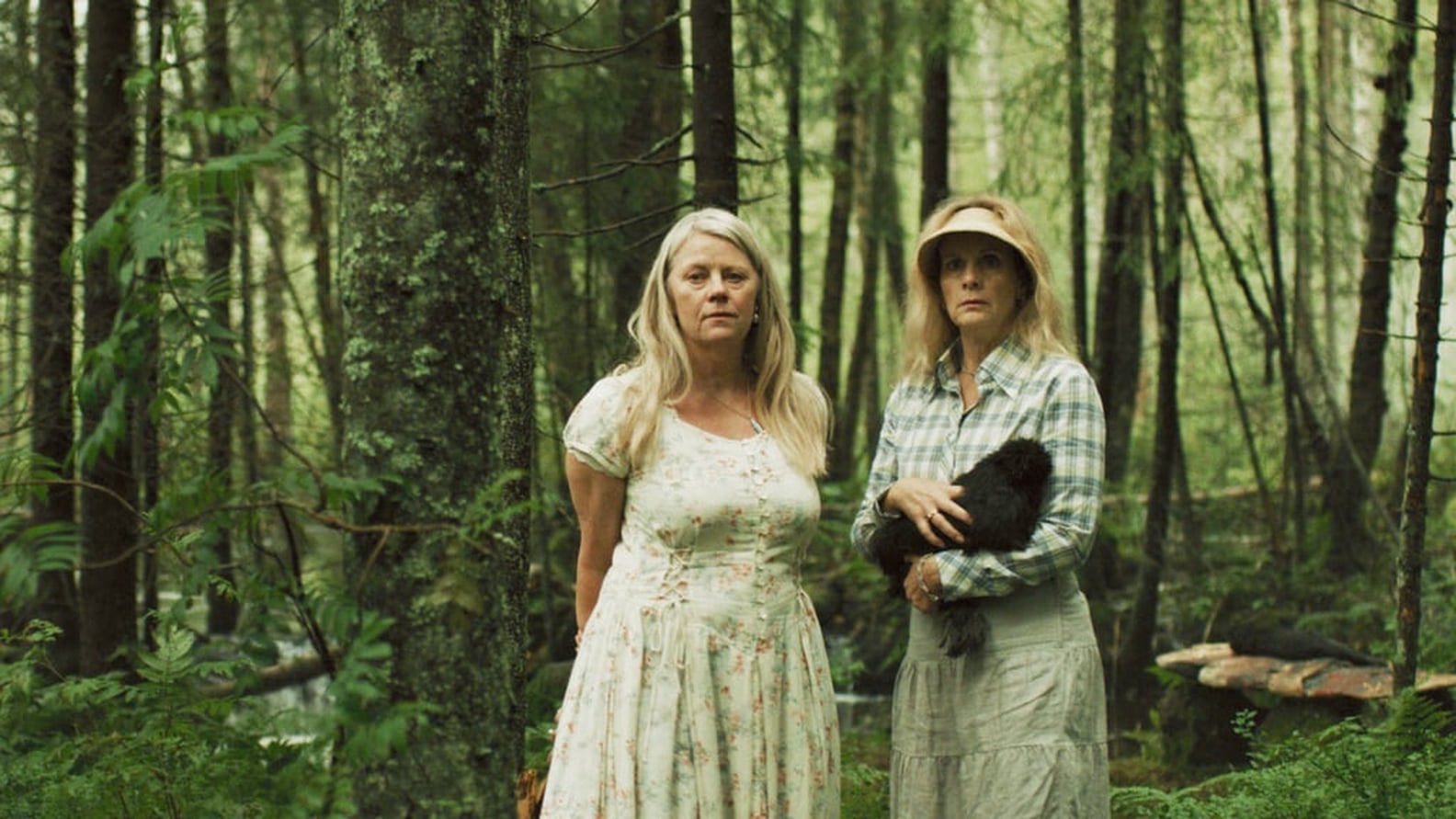 Best New Foreign TV Shows on Netflix in 2020 | PS Entertainment