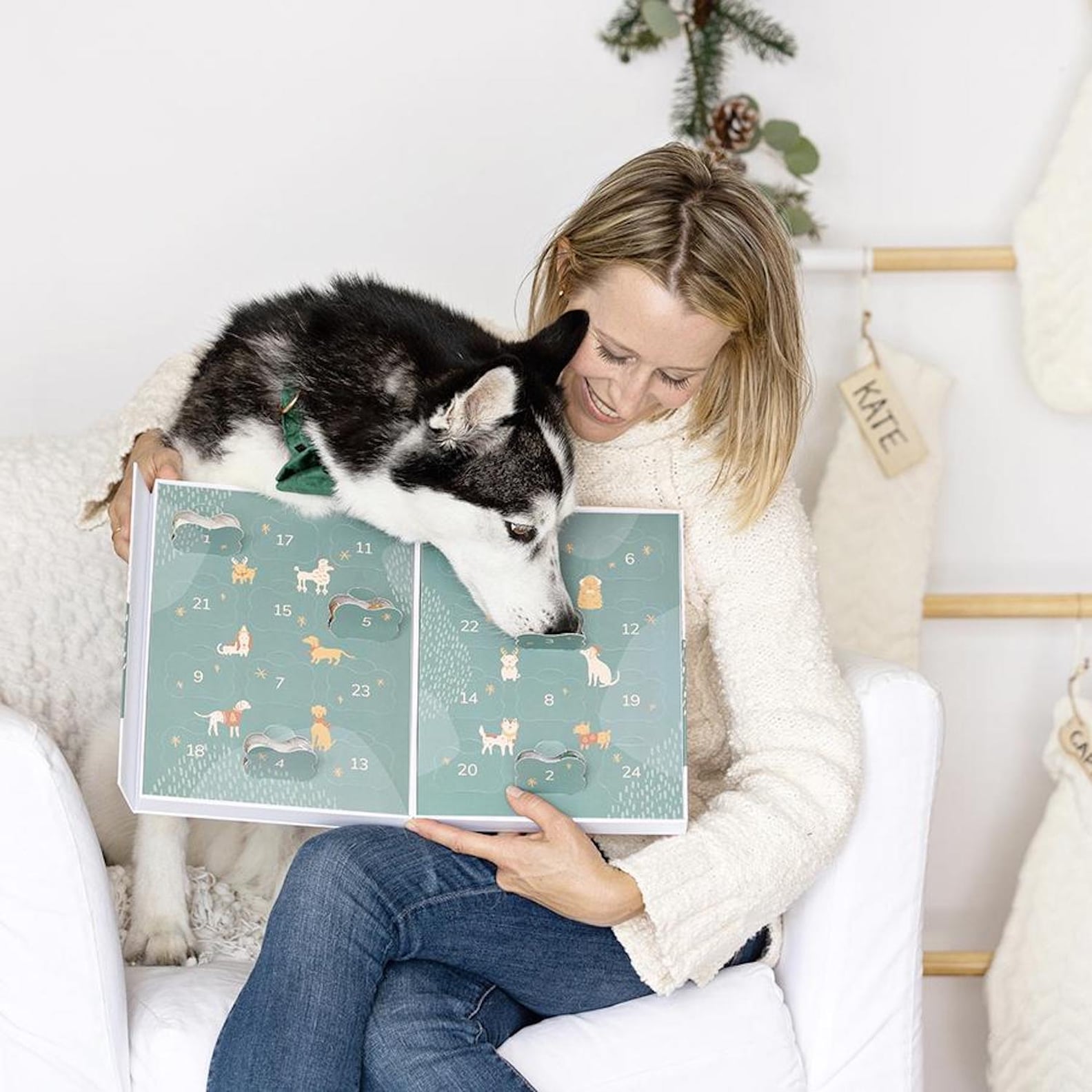 Best Dog and Cat Advent Calendars 2021 | PS Pets