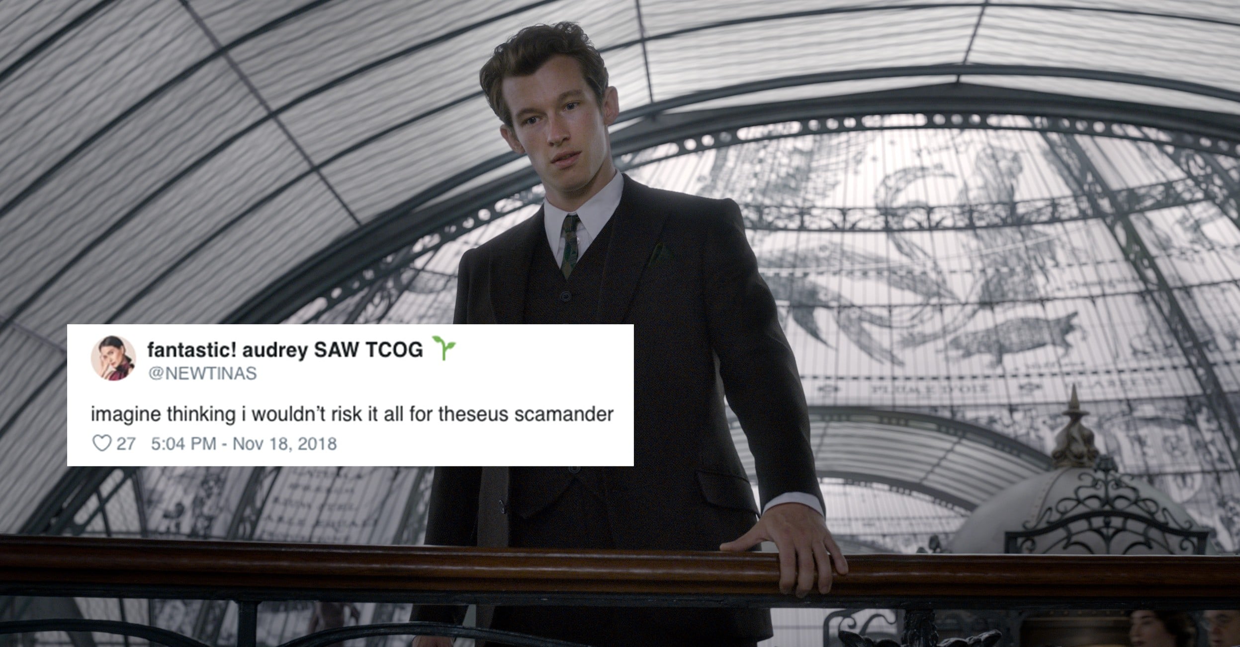 Tweets About Theseus Scamander in Fantastic Beasts 2 | PS Entertainment