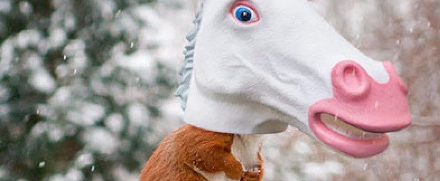 Unicorn Squirrel Feeder on Amazon | PS Smart Living