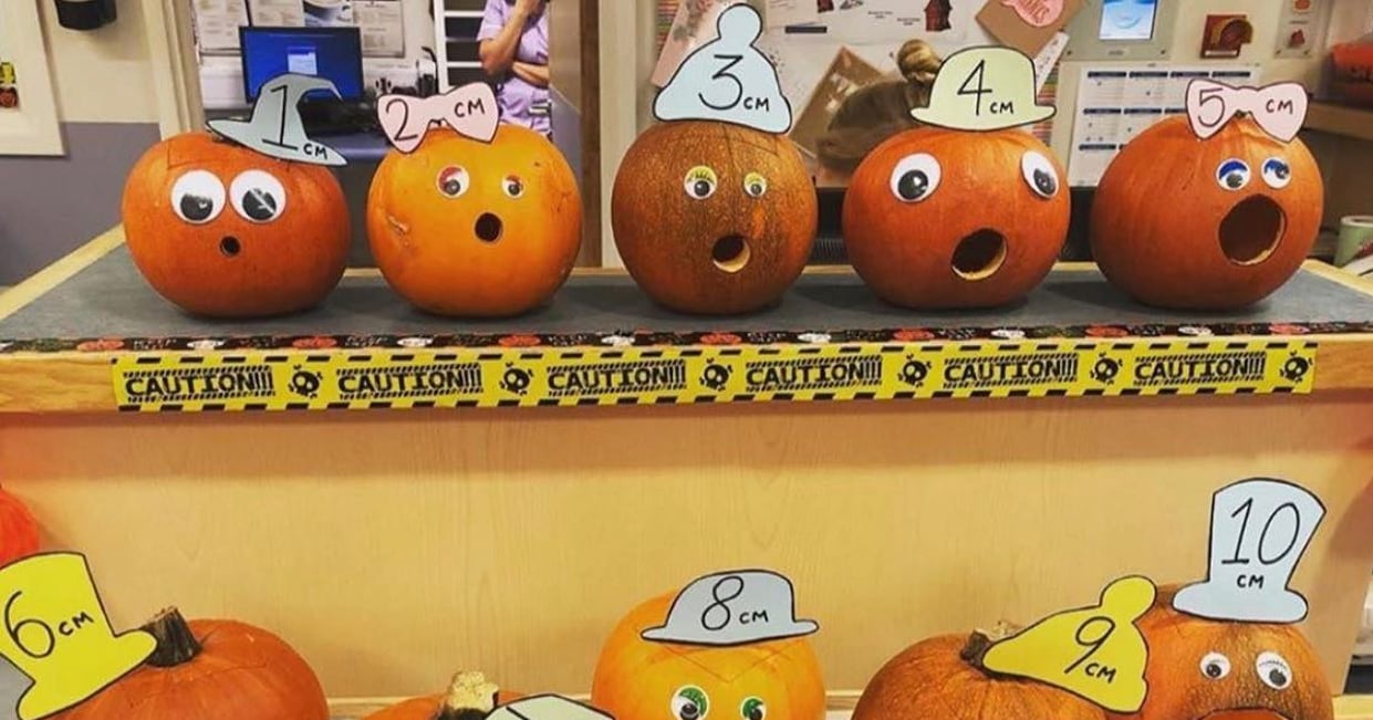 Cervix Dilation Pumpkin Display | PS Family