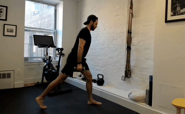 bodyweight split squat pulses
