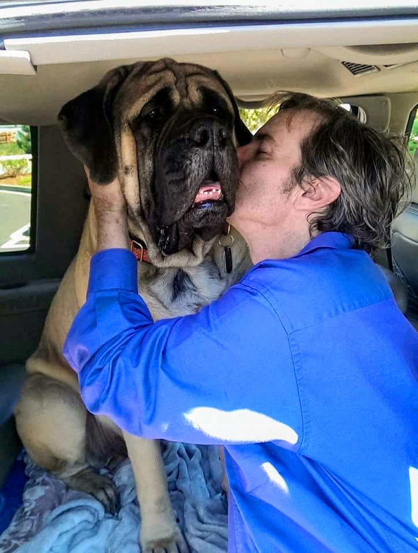 Man Recovering From Surgery Meets Sherman the Service Dog | PS Family