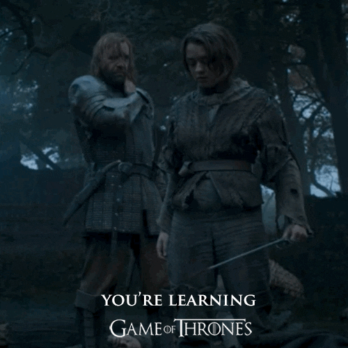 arya stark and the hound
