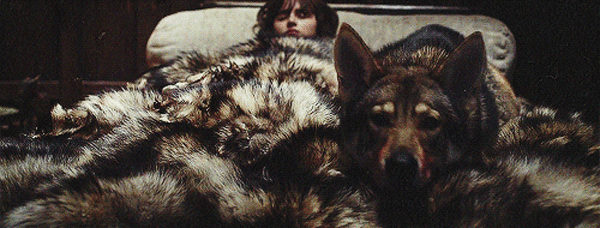 Where Are the Starks' Direwolves on Game of Thrones? | PS Entertainment